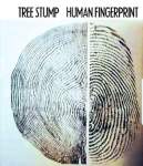 NATURE and What We Humans Can Learn From the Inner Life Of Trees ...